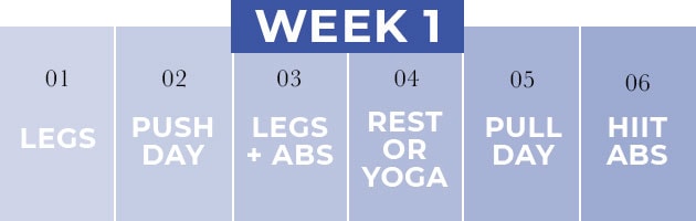 12 Week Workout Plan Order Online Save 40 Jlcatj gob mx