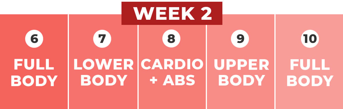 2-Week Muscle Building Workout Plan (Free PDF + Videos) | NML