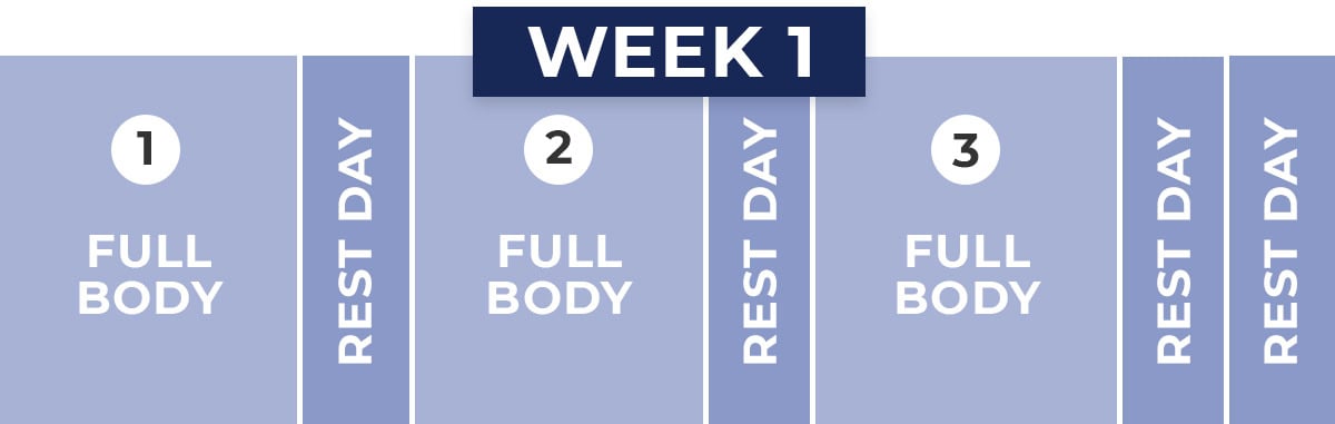 3-Day Workout Split (PDF Guide) | Nourish Move Love