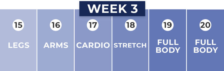 30-Day Beginner Workout Plan (Videos) | Nourish Move Love