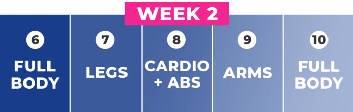 Dumbbell Workout Plan (Free PDF + 2-Week Challenge) | NML