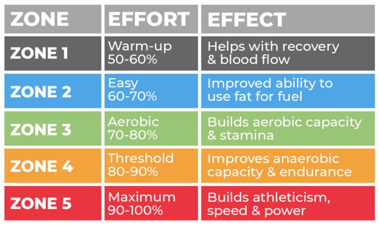 Zone 2 Cardio Benefits & Best Exercises