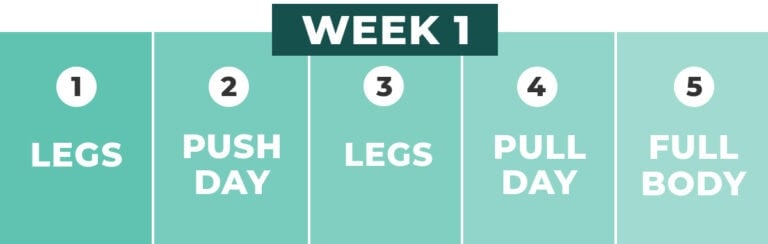 Progressive Overload Workout Plan (PDF Workout Tracker)